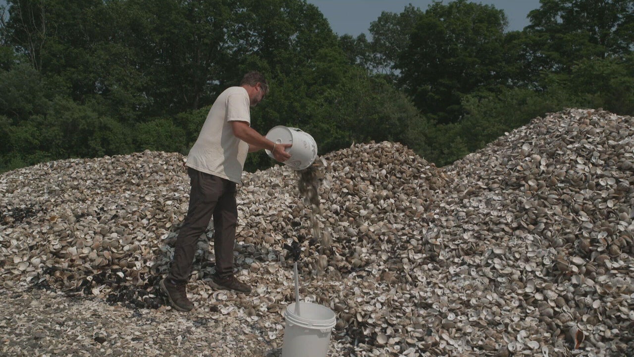 David Schechter - CBS News