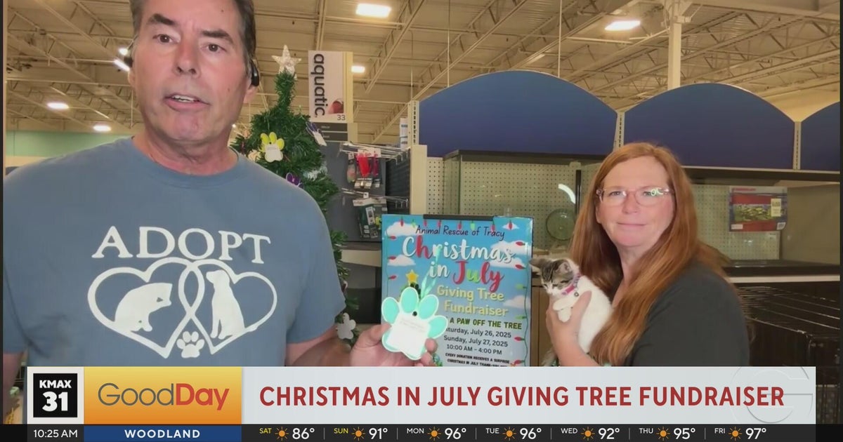 The Animal Rescue of Tracy is holding a Christmas in July Giving Tree ...