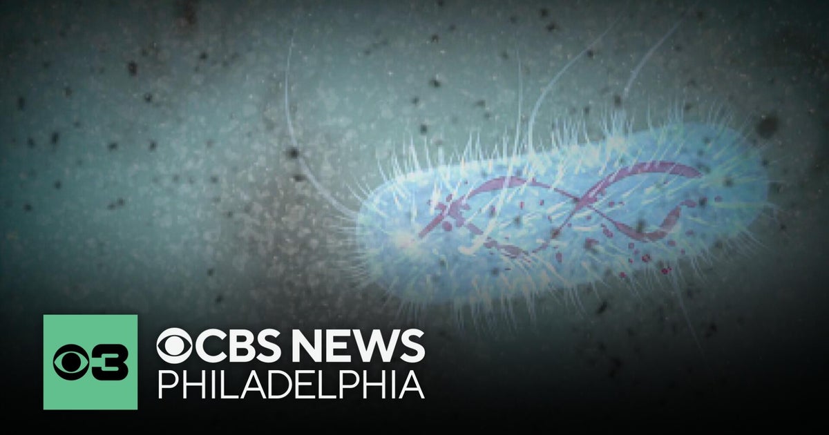 Health officials issue warning after boy dies from brain-eating amoeba ...