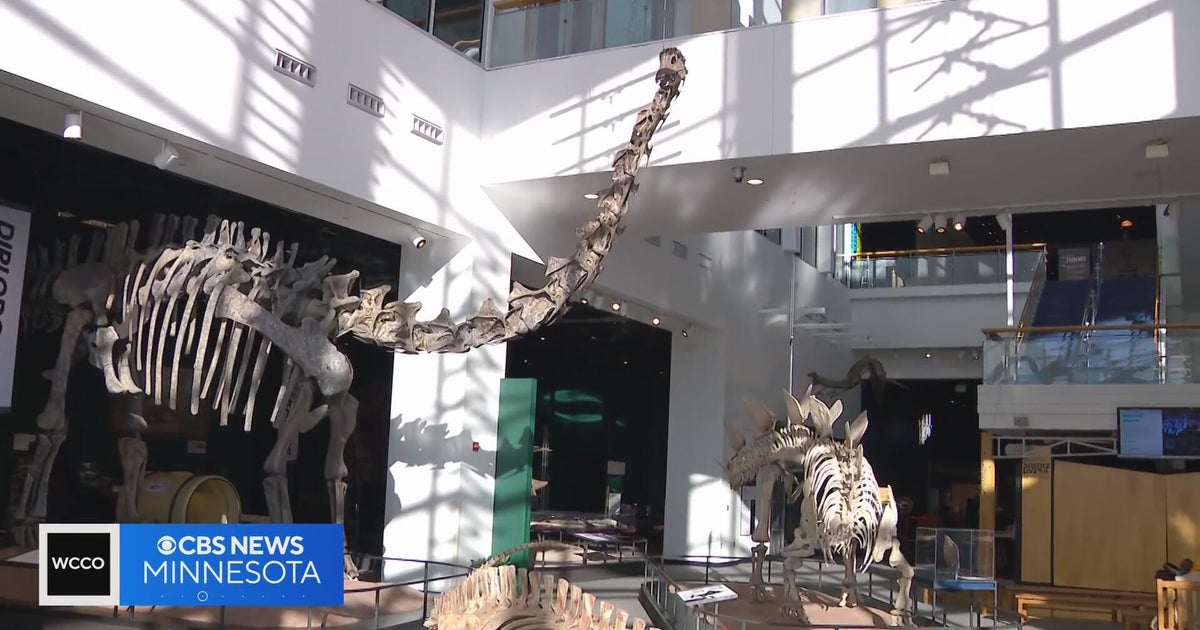 Science Museum of Minnesota brings back Dino Fest - CBS Minnesota