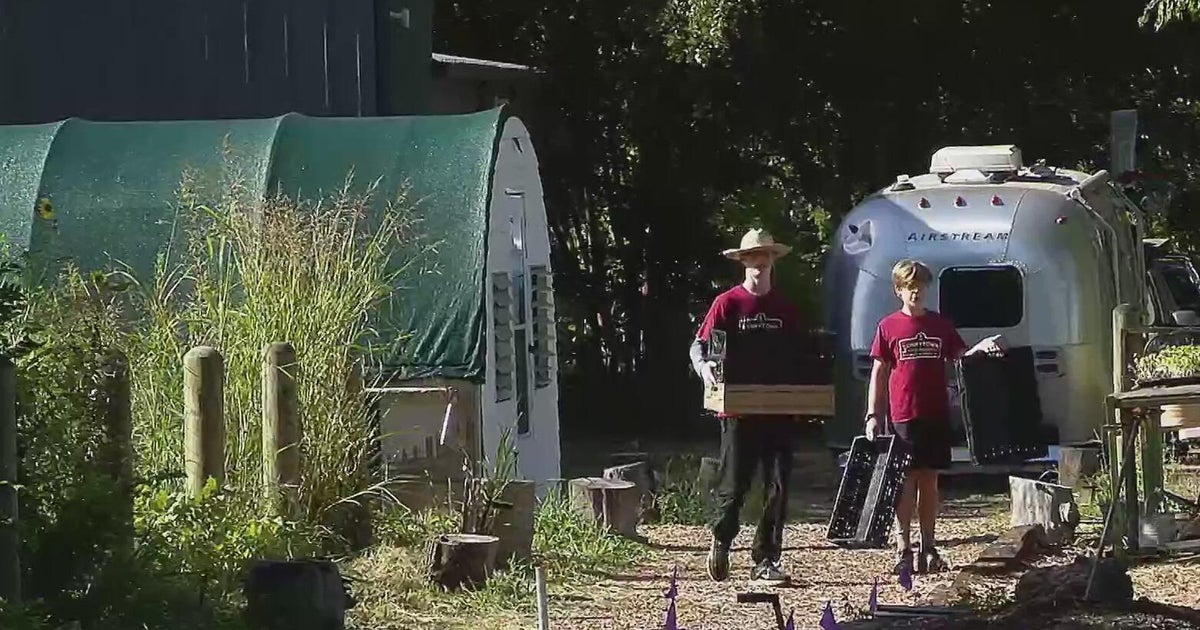 Funky Town Food Project empowers youth to fight food insecurity - CBS Texas