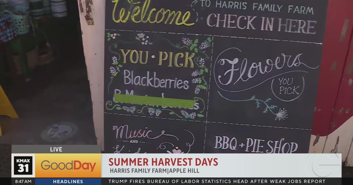 It's Summer Harvest Days at Harris Family Farm on Apple Hil! - Good Day ...