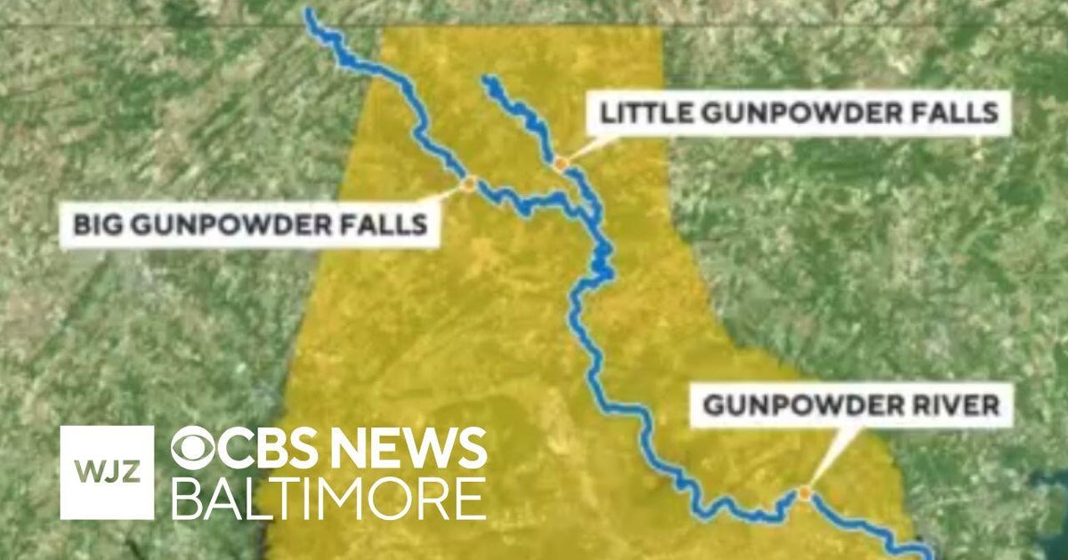 Baltimore Banner: Gunpowder Riverkeepers warn of high E.Coli after ...