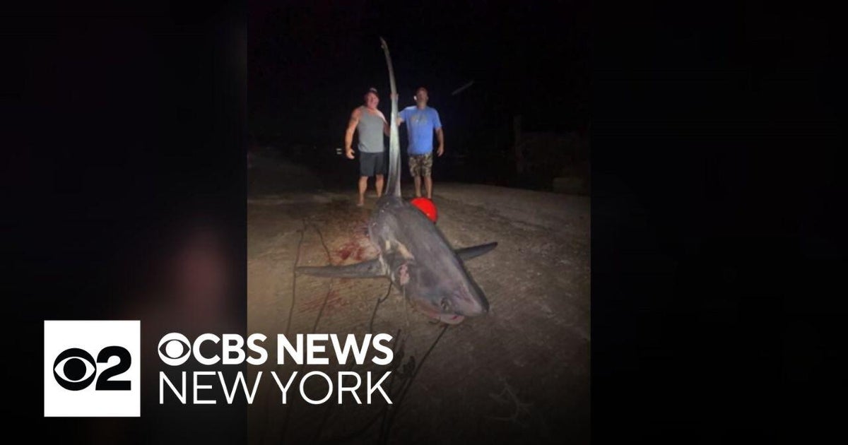 Connecticut fisherman catches 16-foot, 700-pound shark in Long Island ...