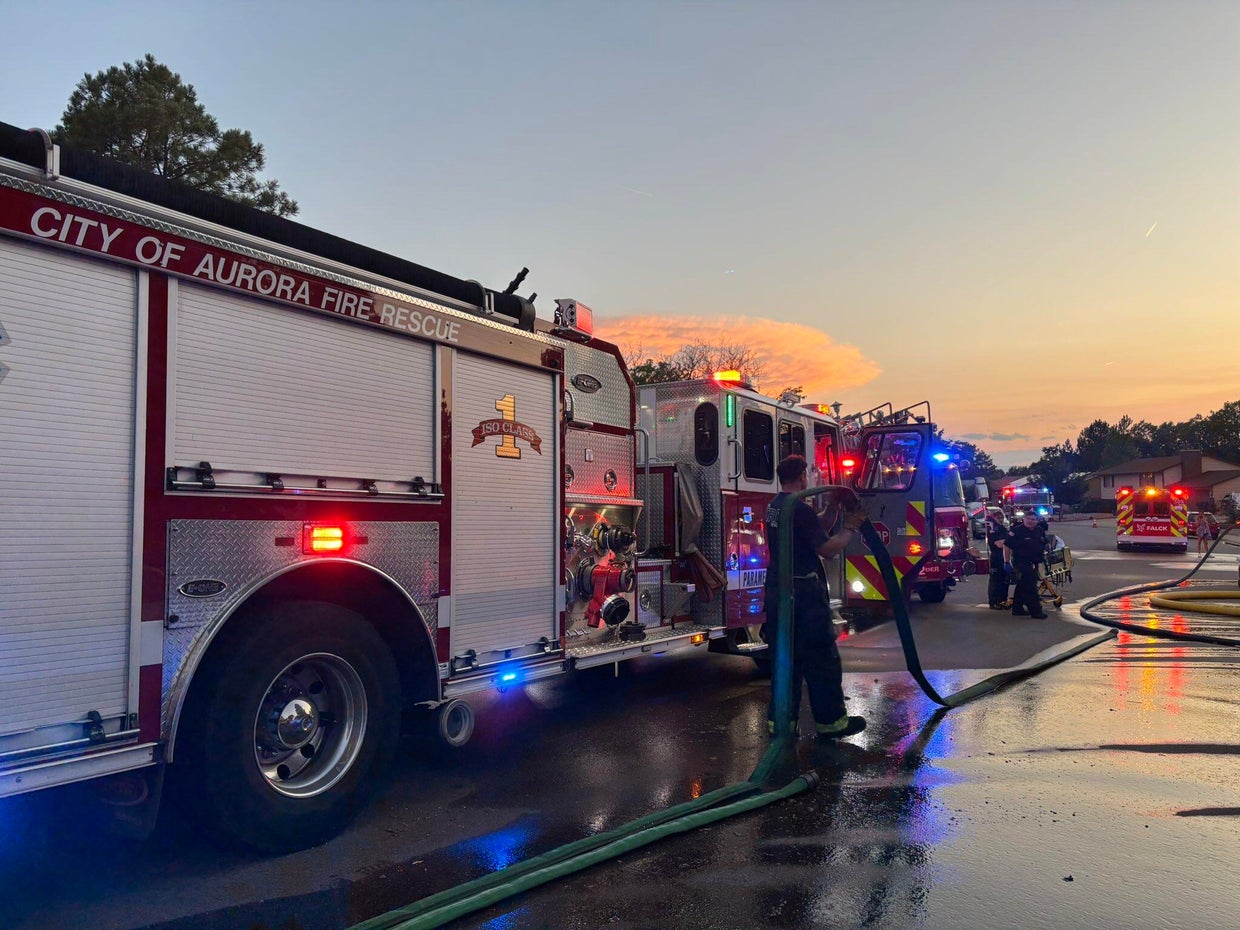 Aurora house fire displaces 5 adults, 4 dogs and a turtle ...
