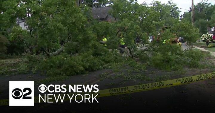 2 people seriously hurt by falling tree limb in New Jersey - CBS New York
