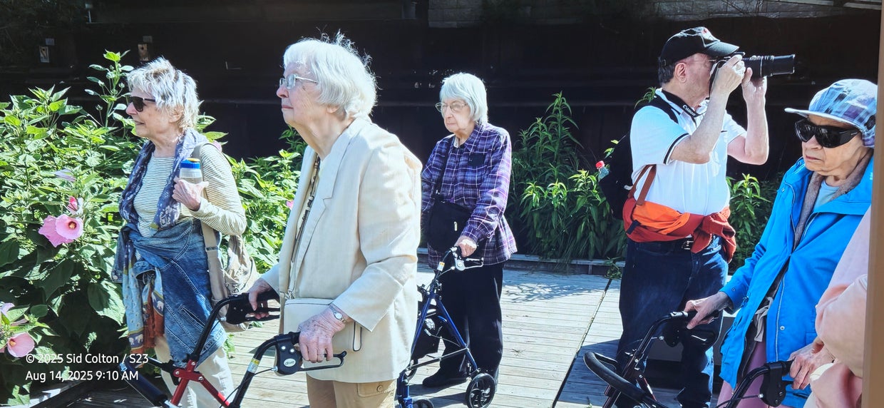 Residents are devastated at being forced to move as Chicago senior ...