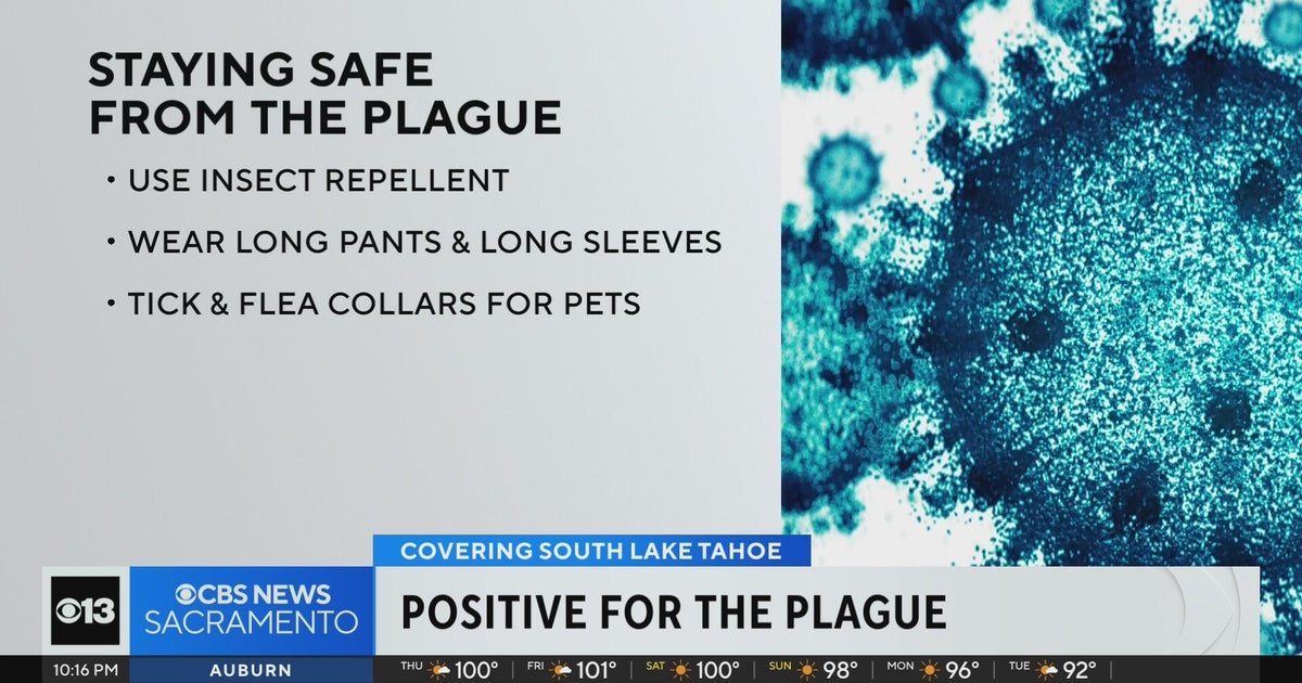 Latest on confirmed human case of plague in California's Lake Tahoe ...