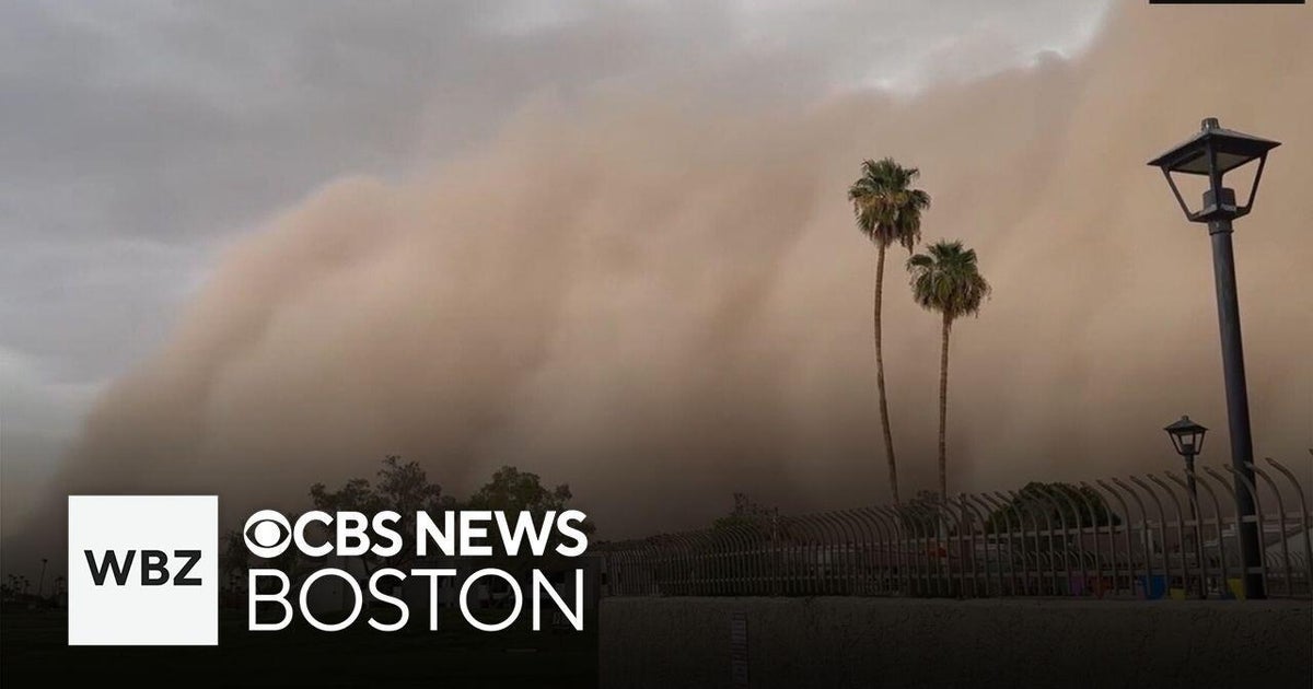 Dust storms in Arizona and Nevada ground flights, disrupt festivals ...