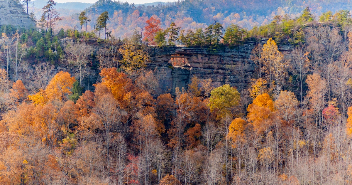 Ohio man dies after falling 40 feet at Red River Gorge - CBS Pittsburgh