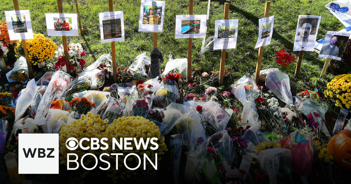 Survivors of Lewiston shooting and victims' relatives sue federal ...