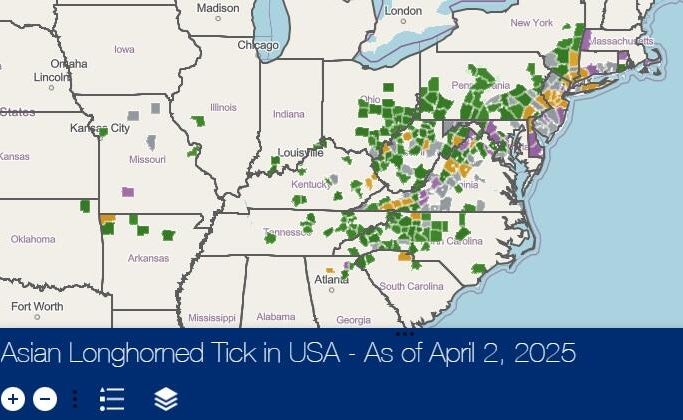 The invasive Asian longhorned tick has been spotted in a new part of ...