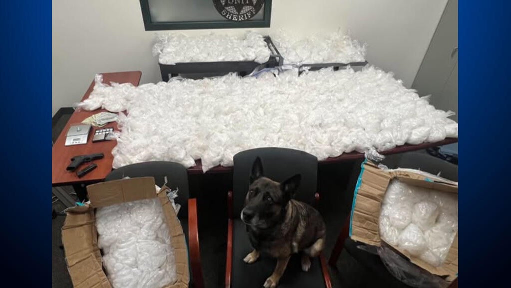 Bay Area drug bust nets 500 pounds of methamphetamine, deputies say; 2 ...