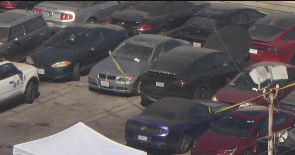 Human remains found inside Tesla at tow yard in Hollywood, police say ...