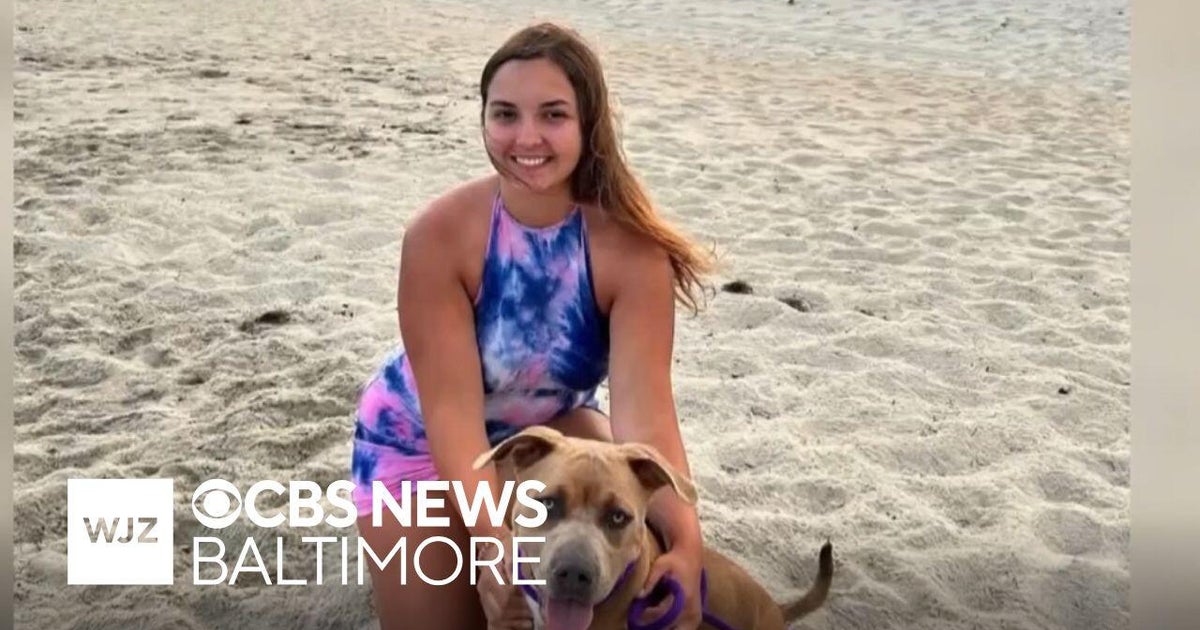Friend of Federal Hill murder victim testifies in trial of accuser ...