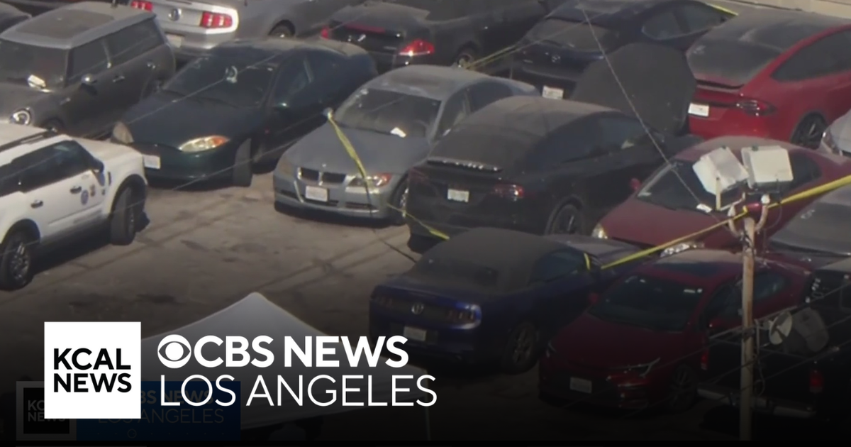 Investigation continues after human remains found inside Tesla at ...