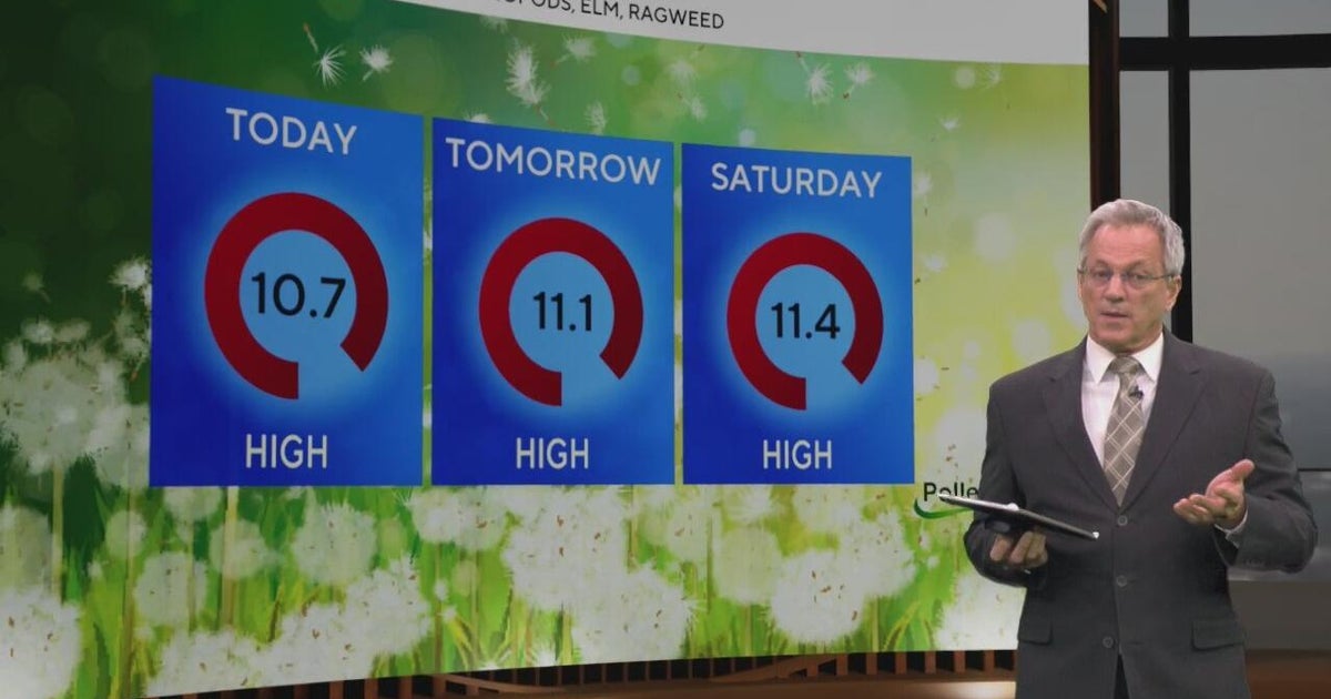 Pollen count remains high across DFW - CBS Texas
