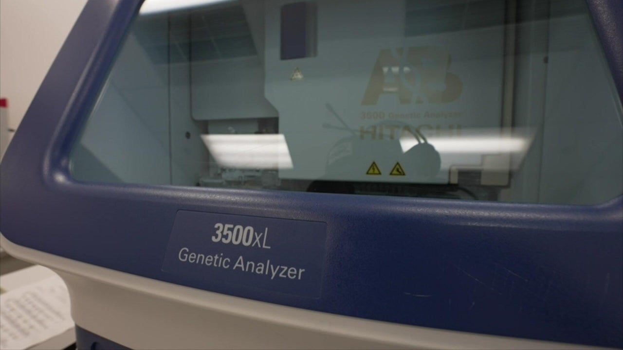 Alice Gainer - CBS News New York