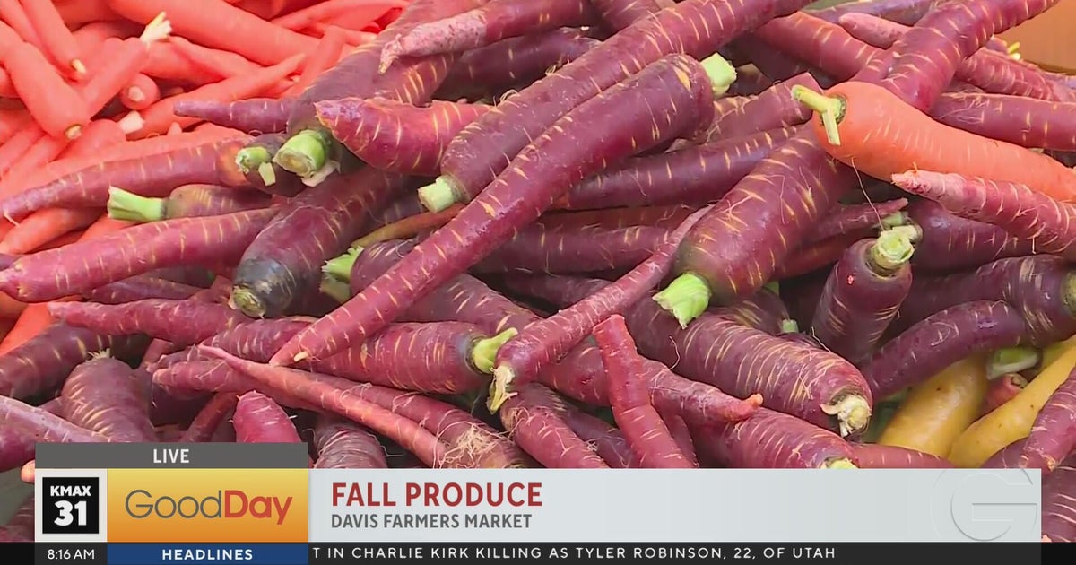 Your Produce Man - Fall produce is here and you can find it at the ...