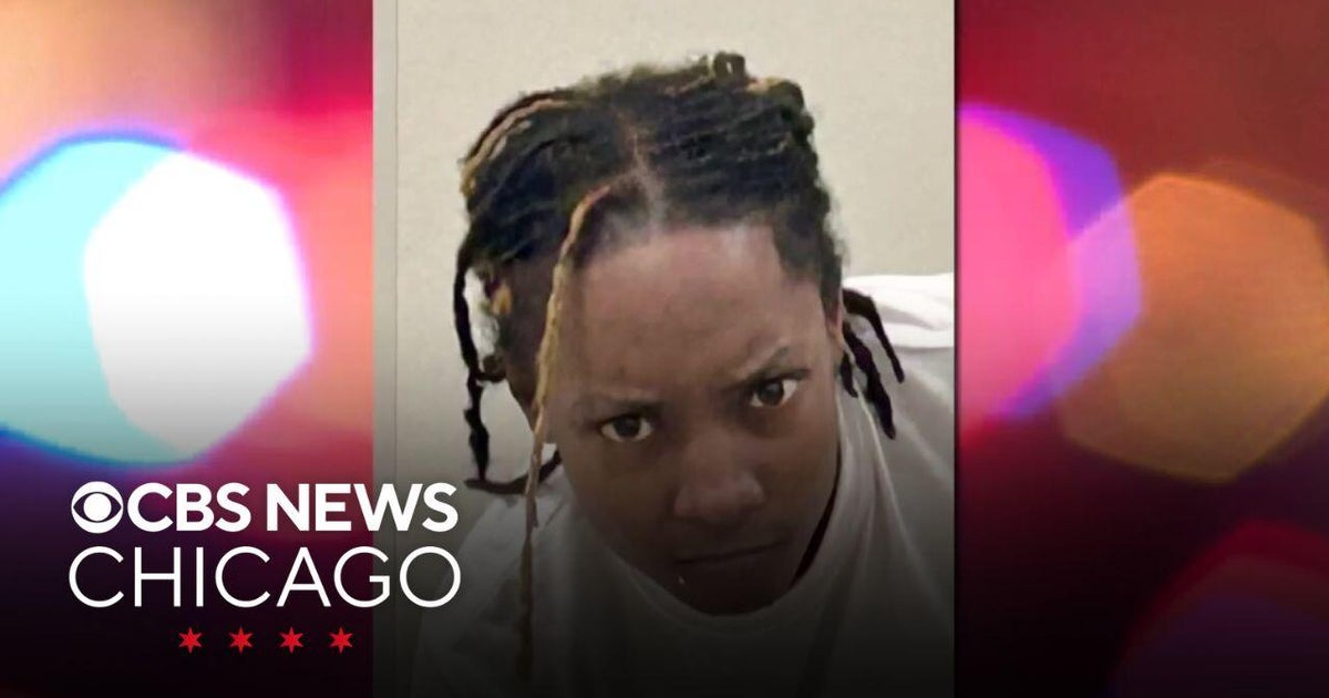 Hammond woman charged in shooting at Illinois state senator’s home ...