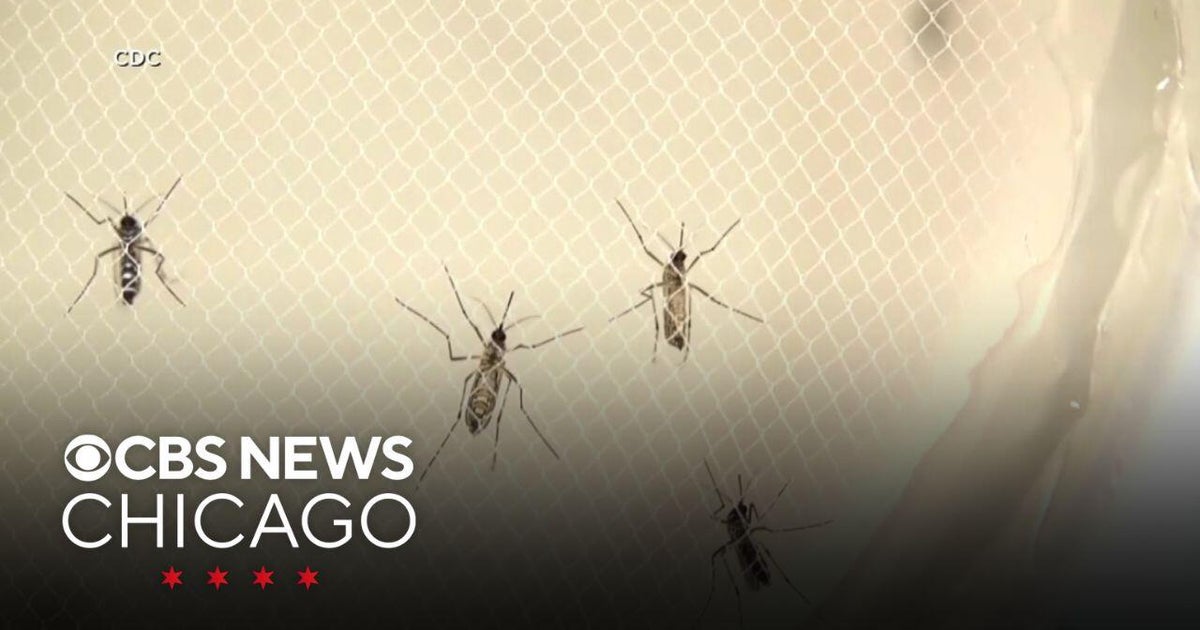 Cook County reports first West Nile virus death in Illinois in 2025 ...