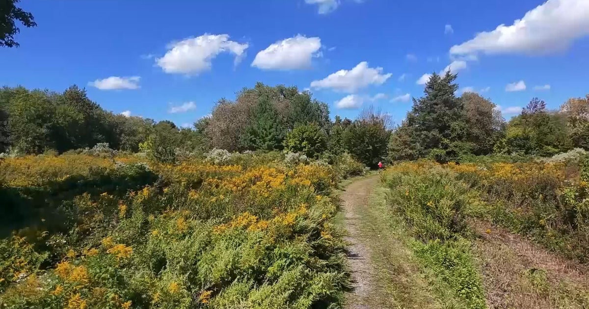 Grassroots group to host "Walk & Talk" at Philadelphia's FDR Park ...