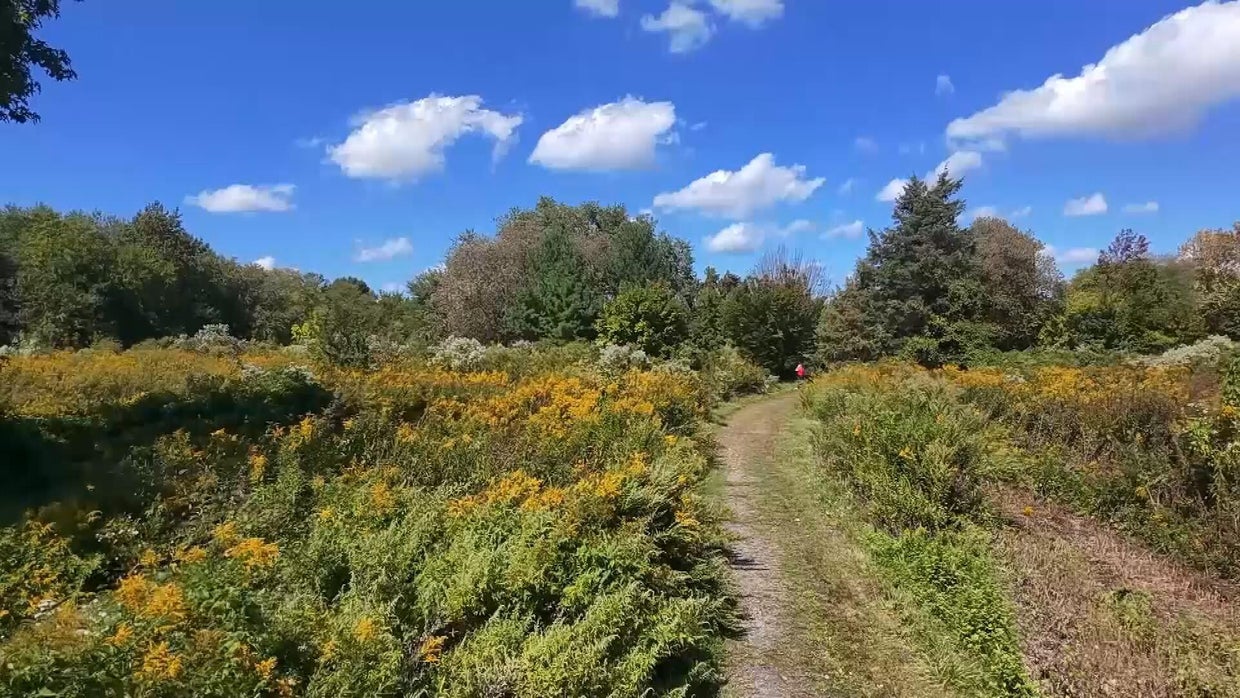 Grassroots group to host "Walk & Talk" at Philadelphia's FDR Park ...