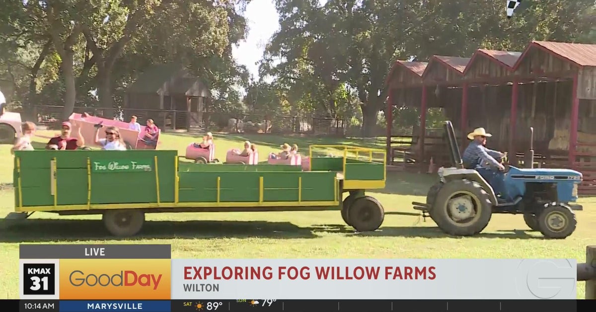Lori checks out the rides and races at Fog Willow Farms in Wilton! 10am ...