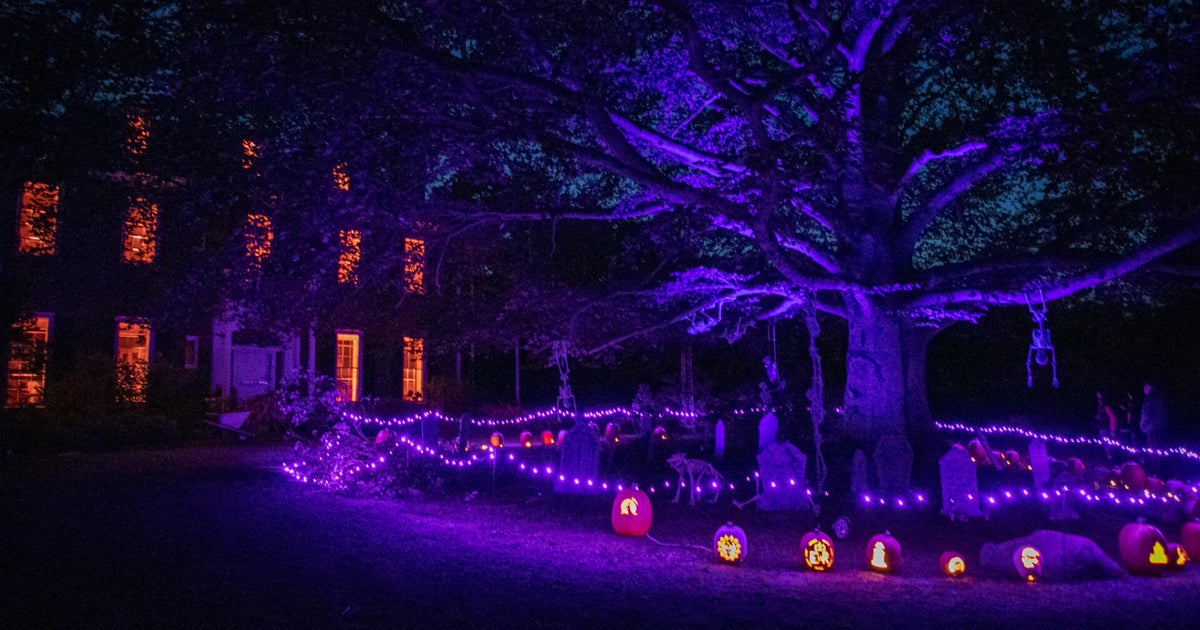Weekend To Do List: Getting in the fall spirit with Halloween-themed ...