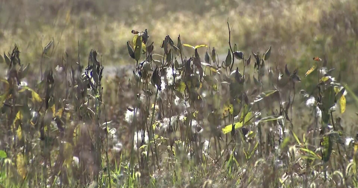 Dry conditions spark drought concerns, elevated fire risk across Tri ...