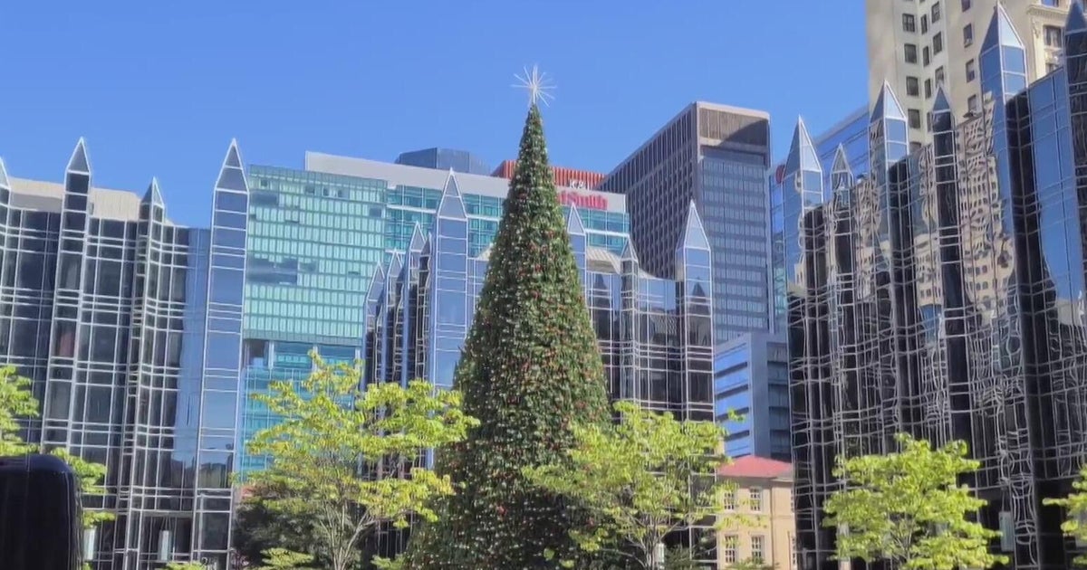 Christmas tree goes up at PPG Plaza already - CBS Pittsburgh