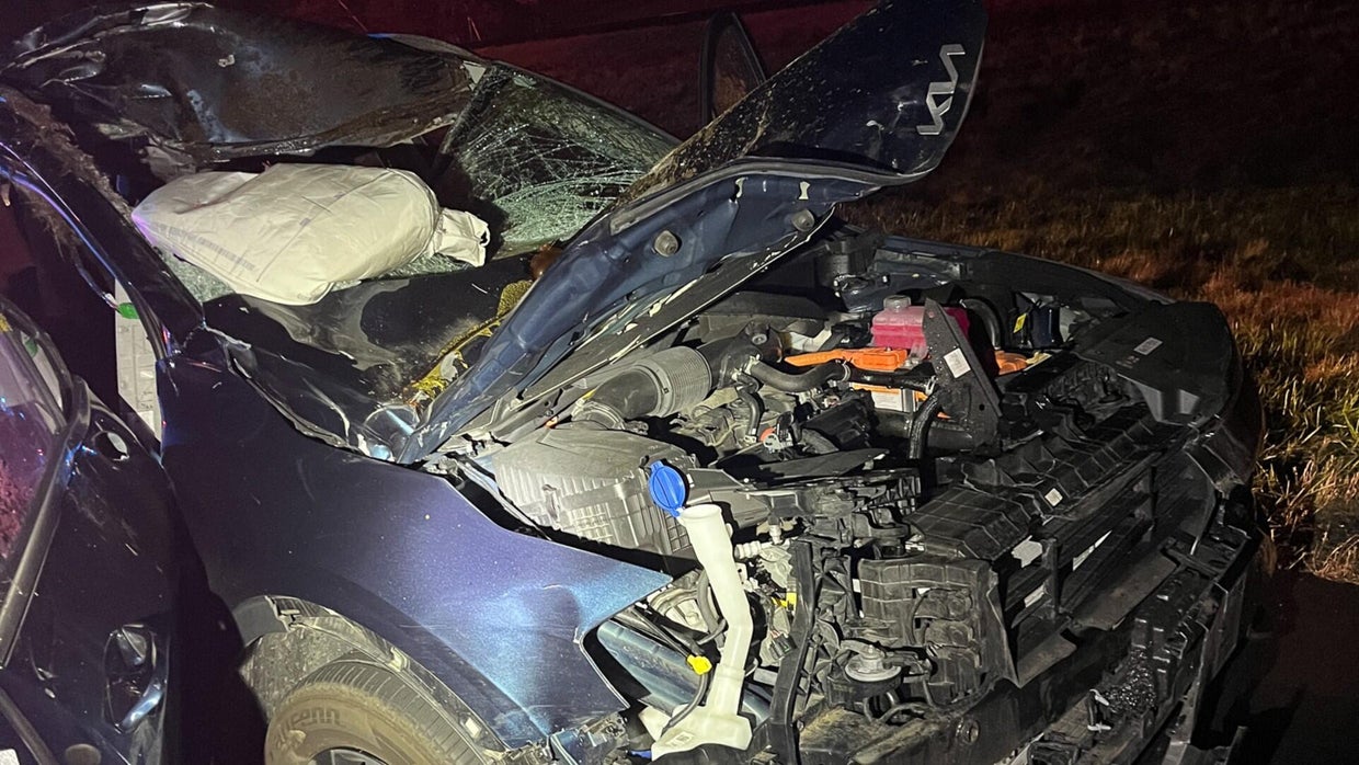 Moose hit by two cars in New Hampshire, seriously injuring a passenger ...