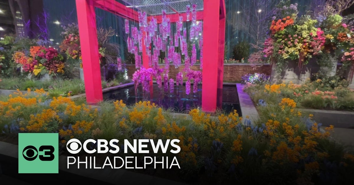 Philadelphia Flower Show reveals next year's theme for 2026 - CBS ...