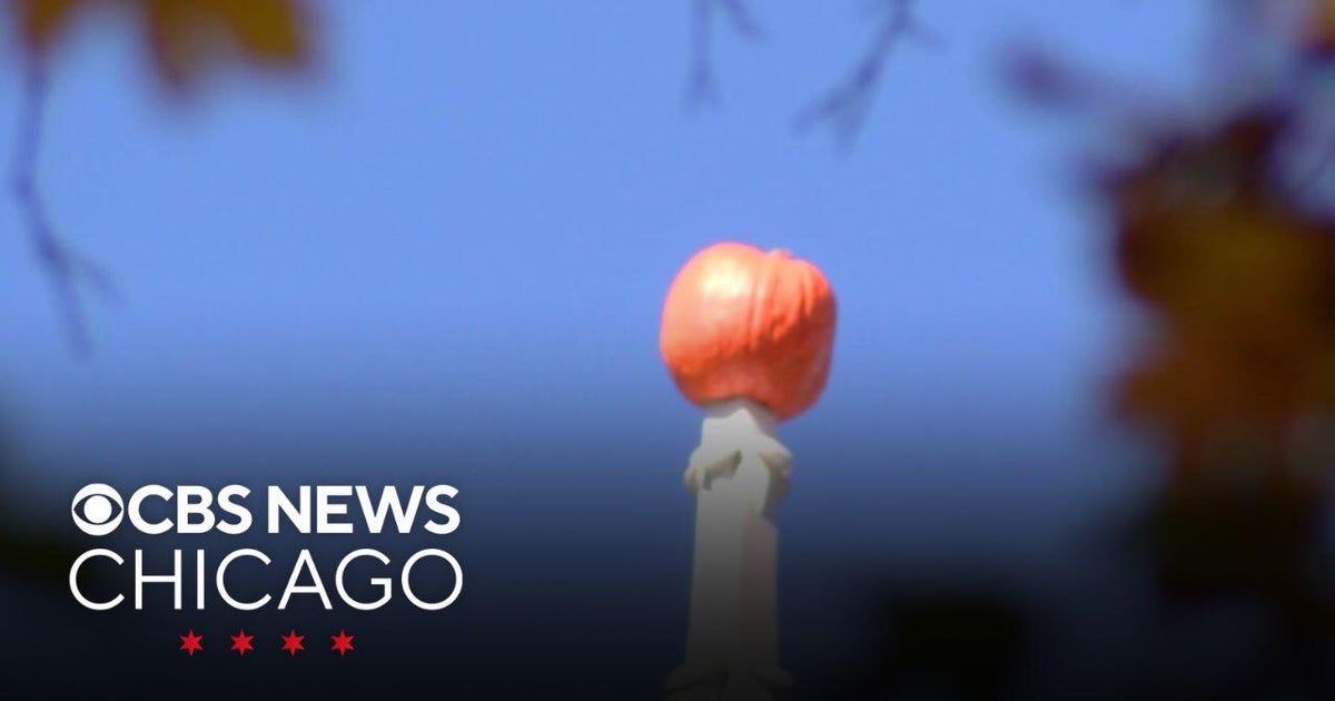 Pumpkin mystery returns at University of Montana - CBS Chicago