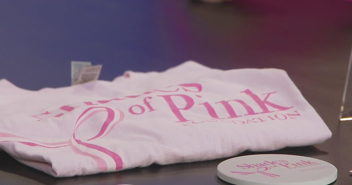 Shades of Pink Foundation in Michigan - CBS Detroit