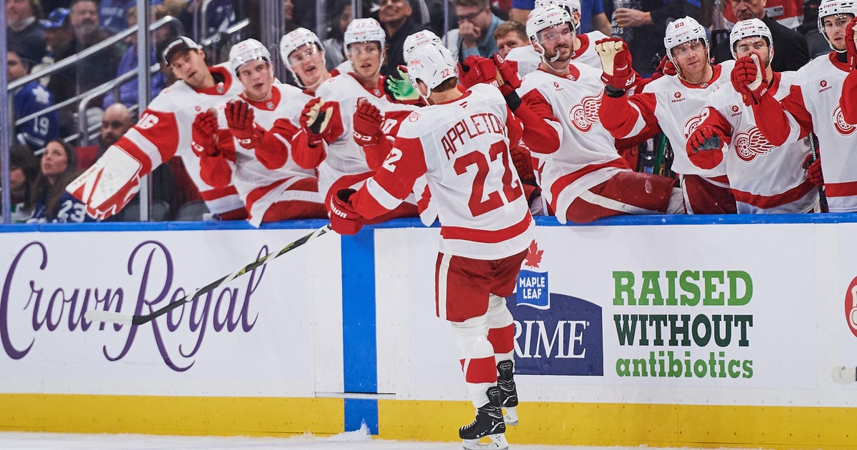 Mason Appleton scores in final minute to lift Red Wings over the Maple ...