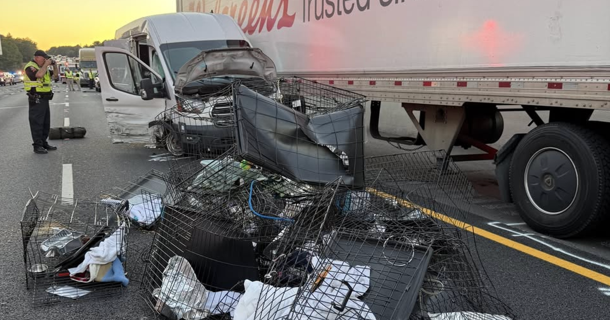 Eight killed in fiery crash on I-85 in Georgia; Animal rescue van among ...