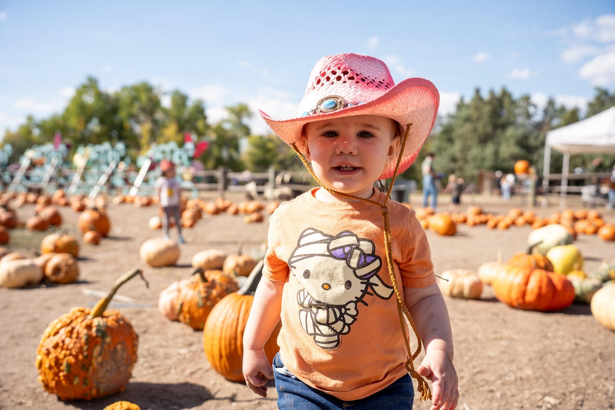 Four Mile Historic Park offers fall fun within the City of Denver - CBS ...
