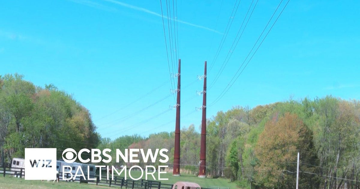 Maryland residents share concerns over BGE's Brandon Shores power line ...