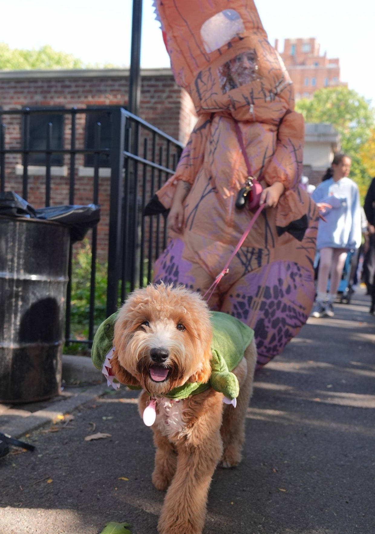 NYC Halloween Dog Parade 2025 photos from Tompkins Square Park