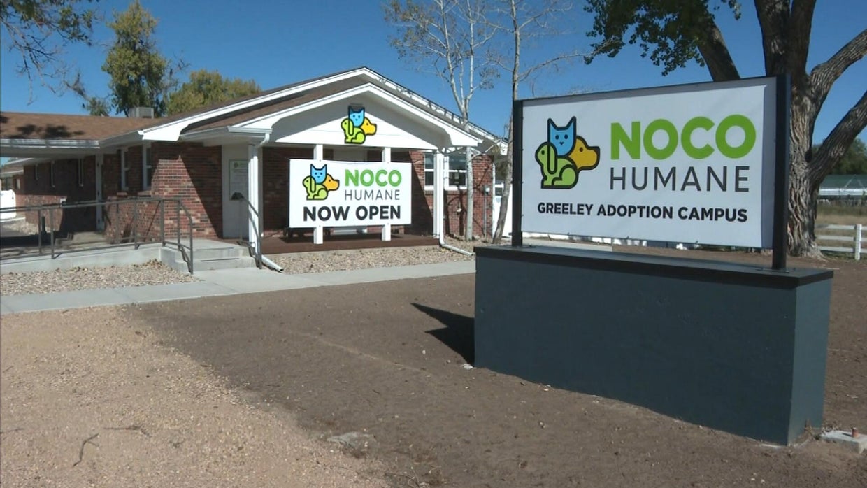 New Northern Colorado animal adoption center finds 140 forever homes in ...