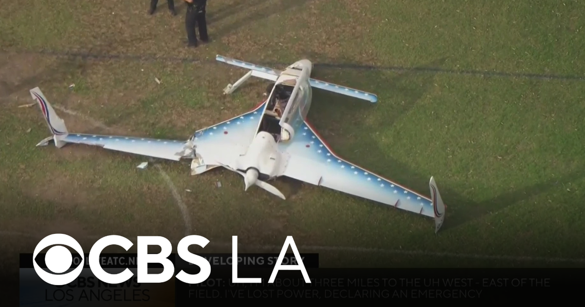 Woman struck by small plane during crash landing on Long Beach soccer ...