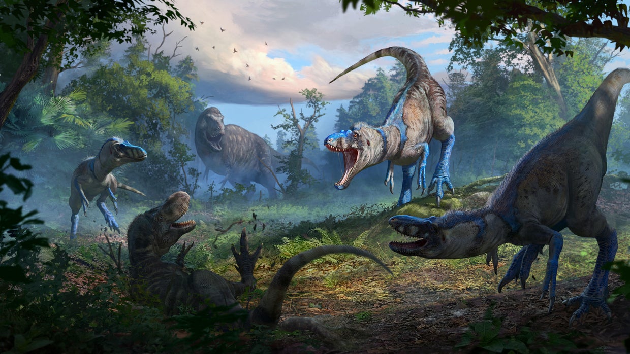 Mysterious dinosaur skeleton thought to be a teenage T. rex is actually ...