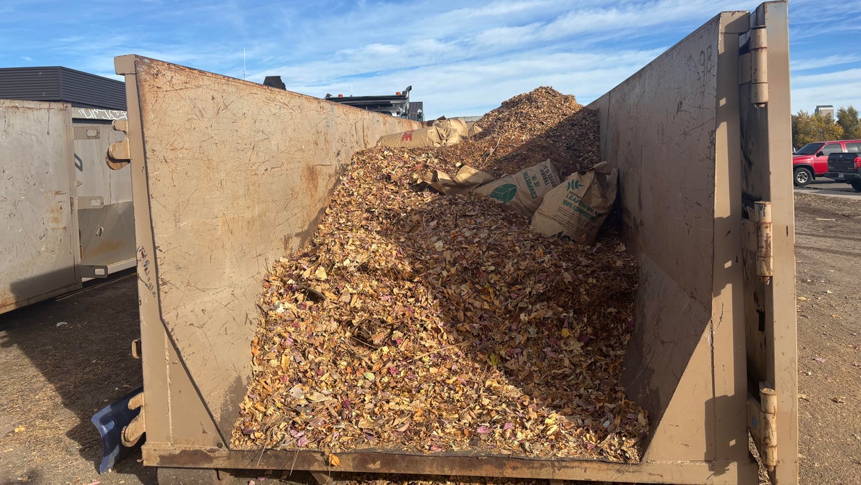 Denver encourages residents to drop off leaves, jack o'lanterns instead ...