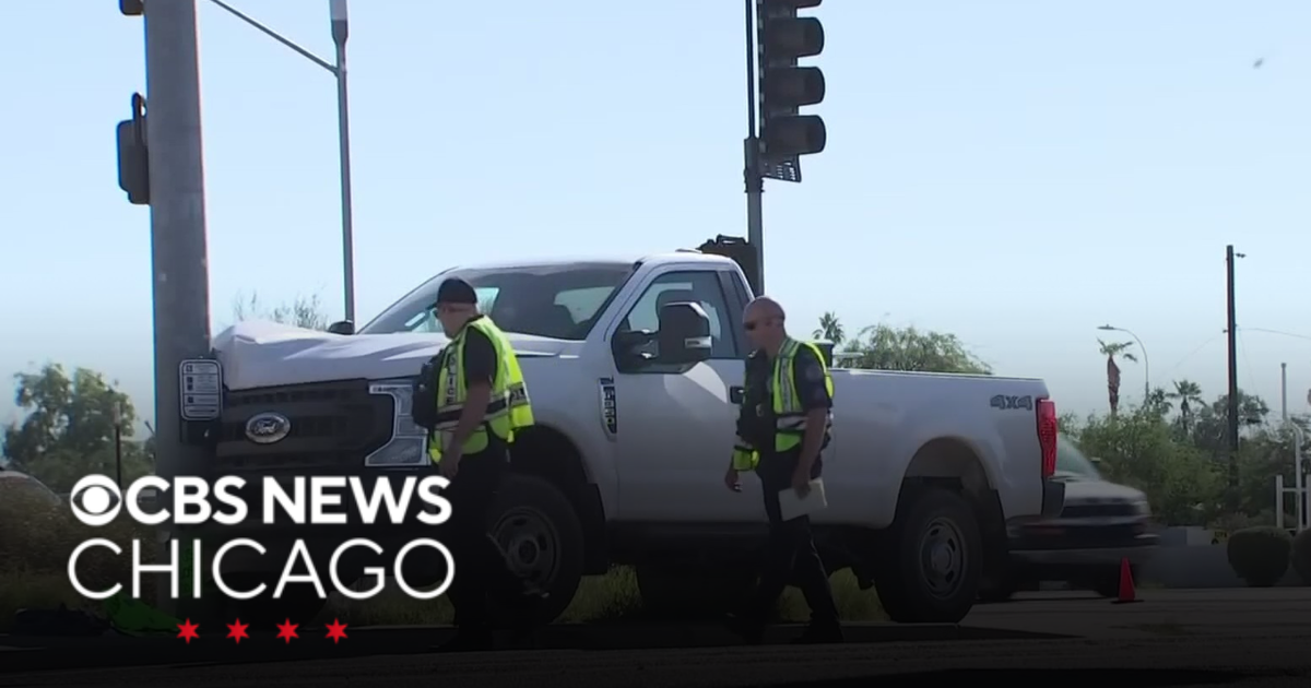 Swarm of bees blamed for fatal car crash in Mesa, Arizona - CBS Chicago