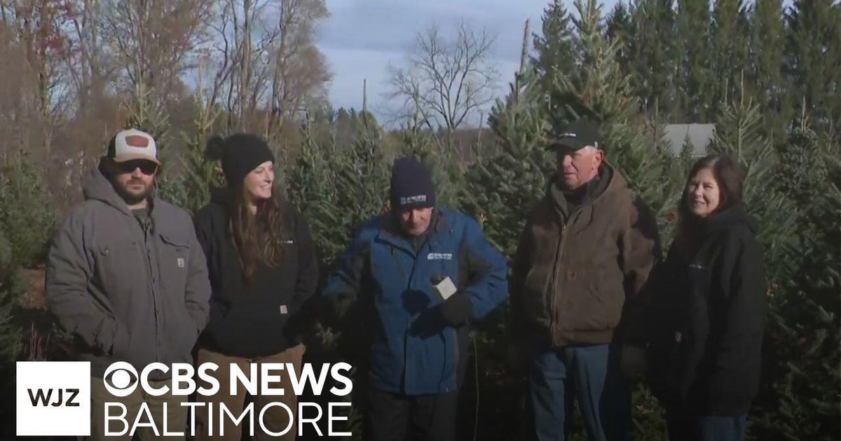 Where’s Marty: Martin’s Tree Farm in Maryland talks best time to get ...