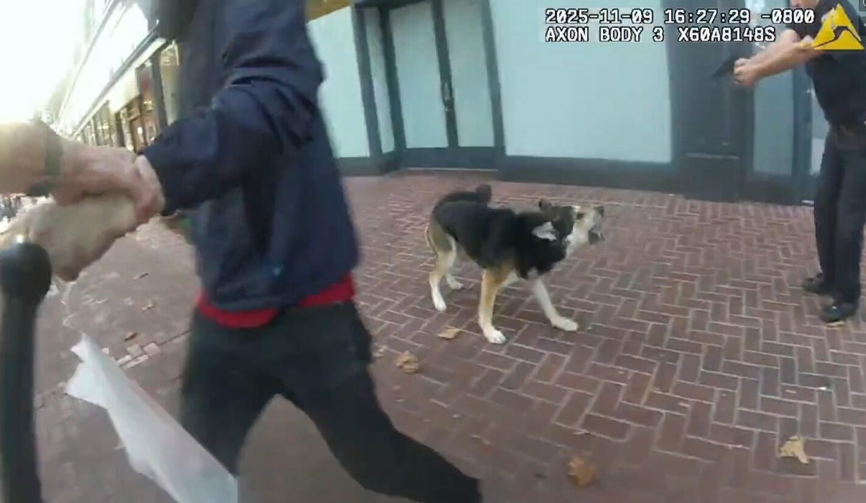 San Francisco police release video showing what led an officer to shoot ...
