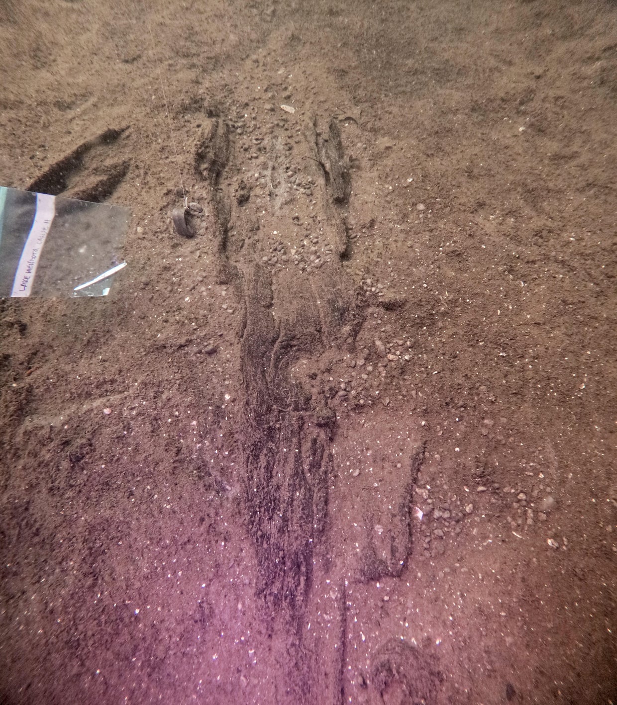 Ancient canoes found in Wisconsin lake were like modern-day e-bike rack ...