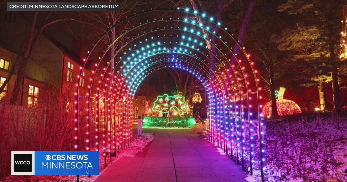 Minnesota Landscape Arboretum’s Winter Lights show now open - CBS Minnesota