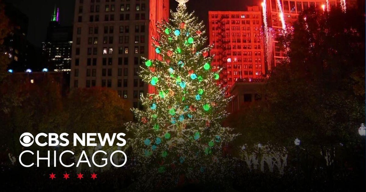 Chicago lights up Christmas tree in Millennium Park - CBS Chicago